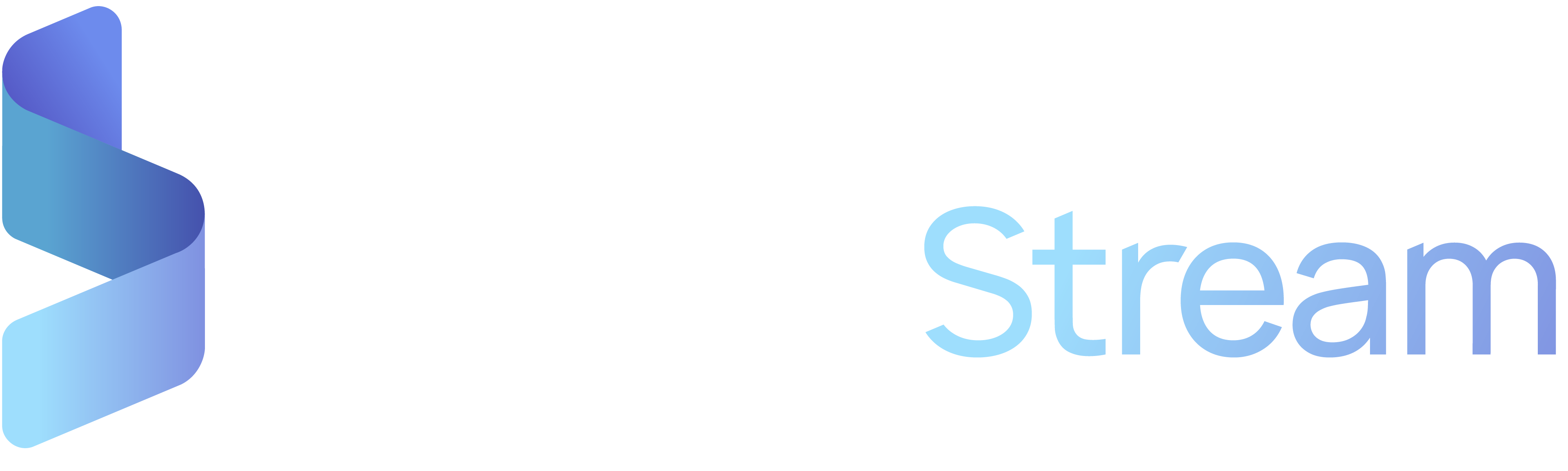 Download - Binary Stream Software brochure